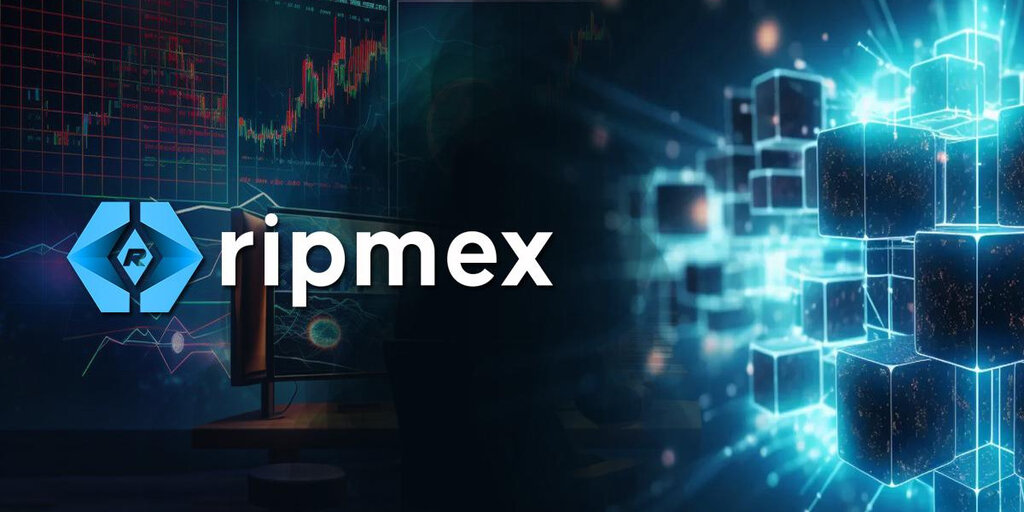 Ripmex Debuts RPX Tokens PreSale: Commission-Free Trading for a New ...