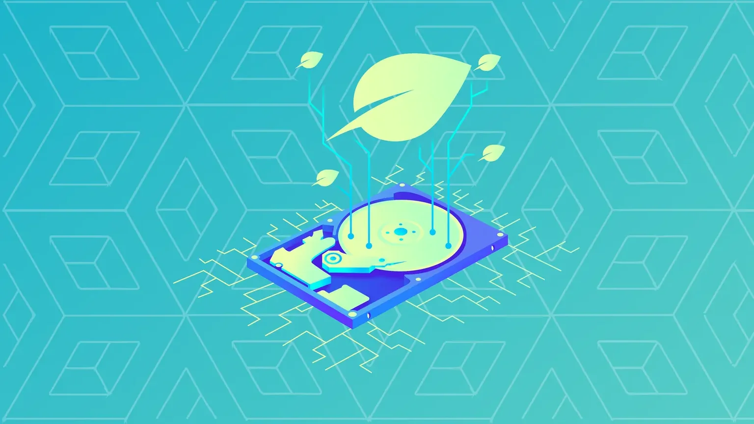 What is Chia (XCH)? How to Farm It With a Hard Drive - Decrypt