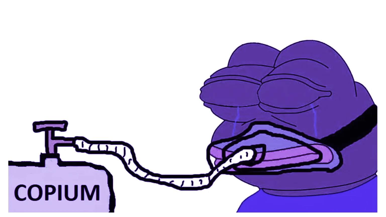 Bitcoin Holders Are Coping Through the Crash With Memes. Here Are the ...