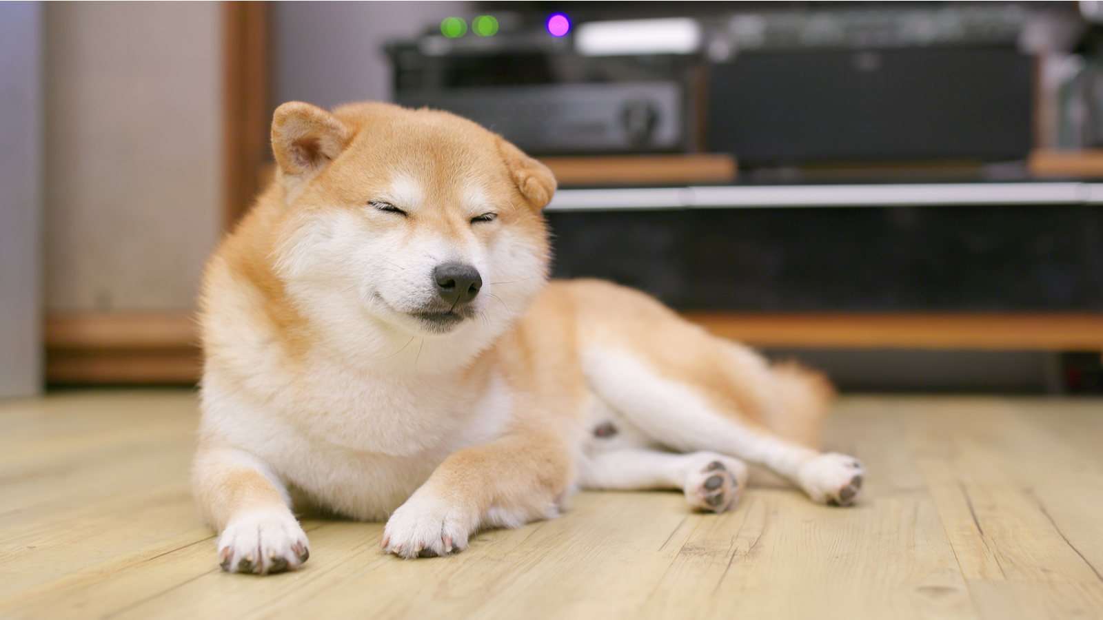 News Explorer — Wednesday Was One of Bitcoin's Biggest Trading Days Ever - Decrypt