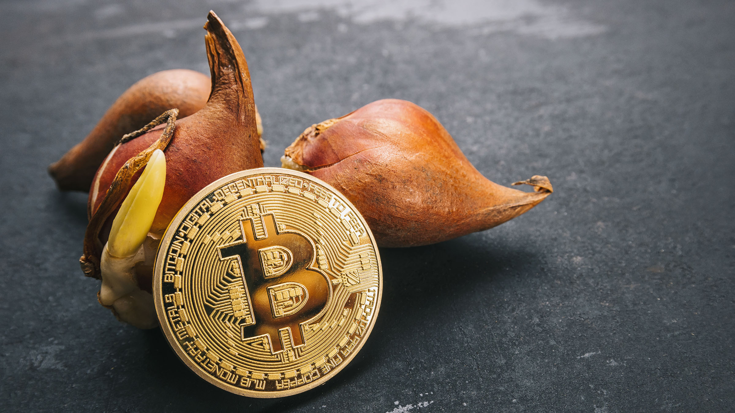 News Explorer — Bitcoin Developers Say Craig Wright May Be Admitting ...