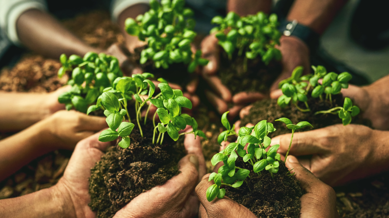 News Explorer - Decrypt